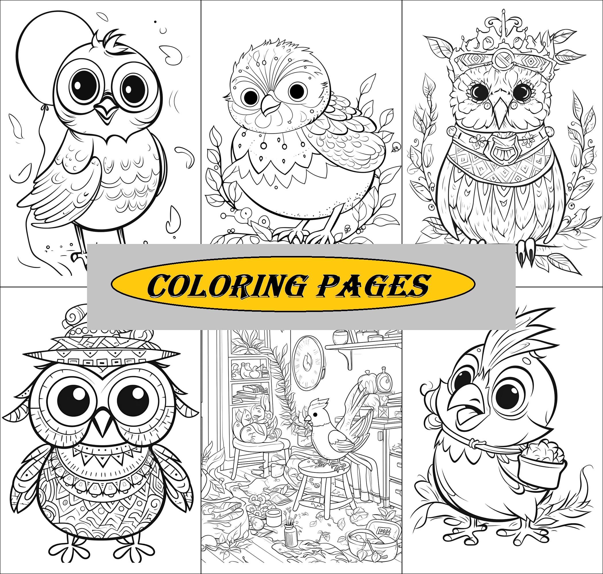 169 Coloring Pages - Cute Bird. Colouring Book PDF - Etsy