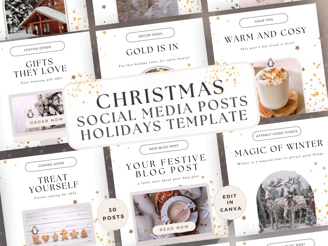 Christmas Social Media Posts for Business, Holiday Stories Editable ...
