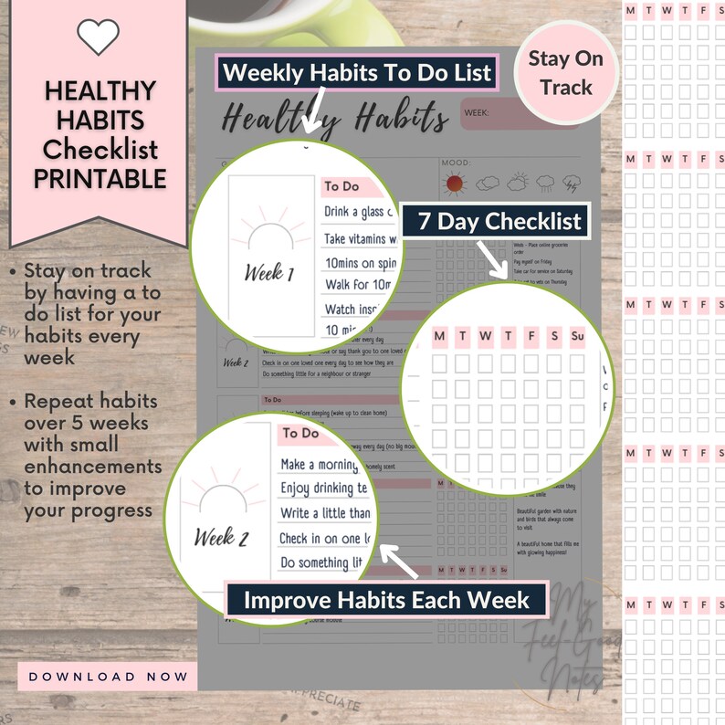 Daily Habit Tracker Printable Healthy Habits Checklist Blush Pink ...