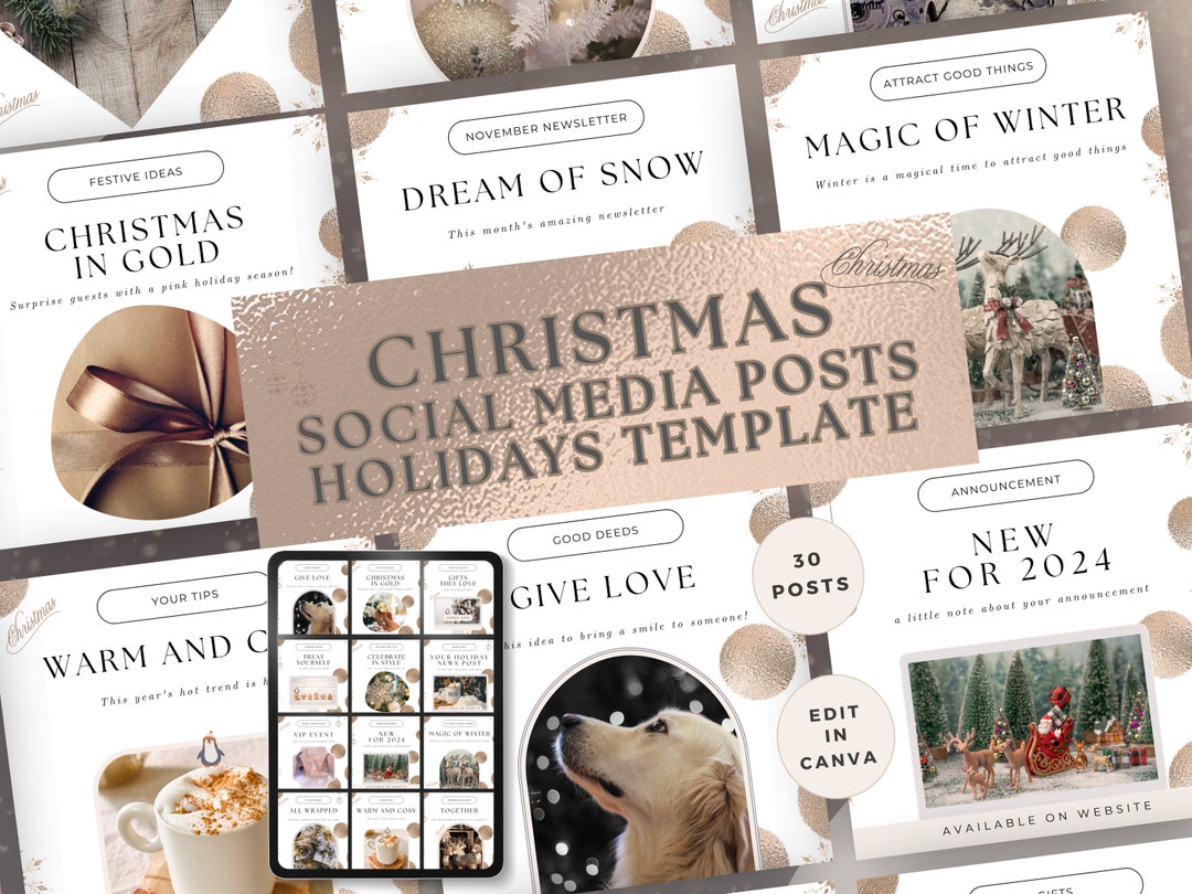 Christmas Social Media Posts for Business, Holiday Stories Editable ...
