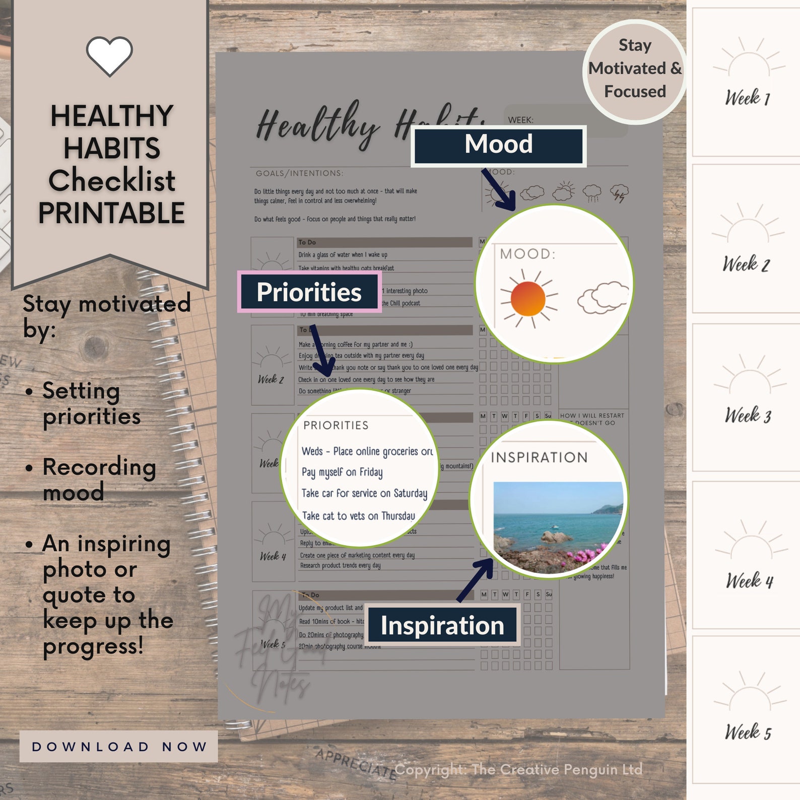 Daily Habit Tracker Printable Healthy Habits Checklist - Etsy