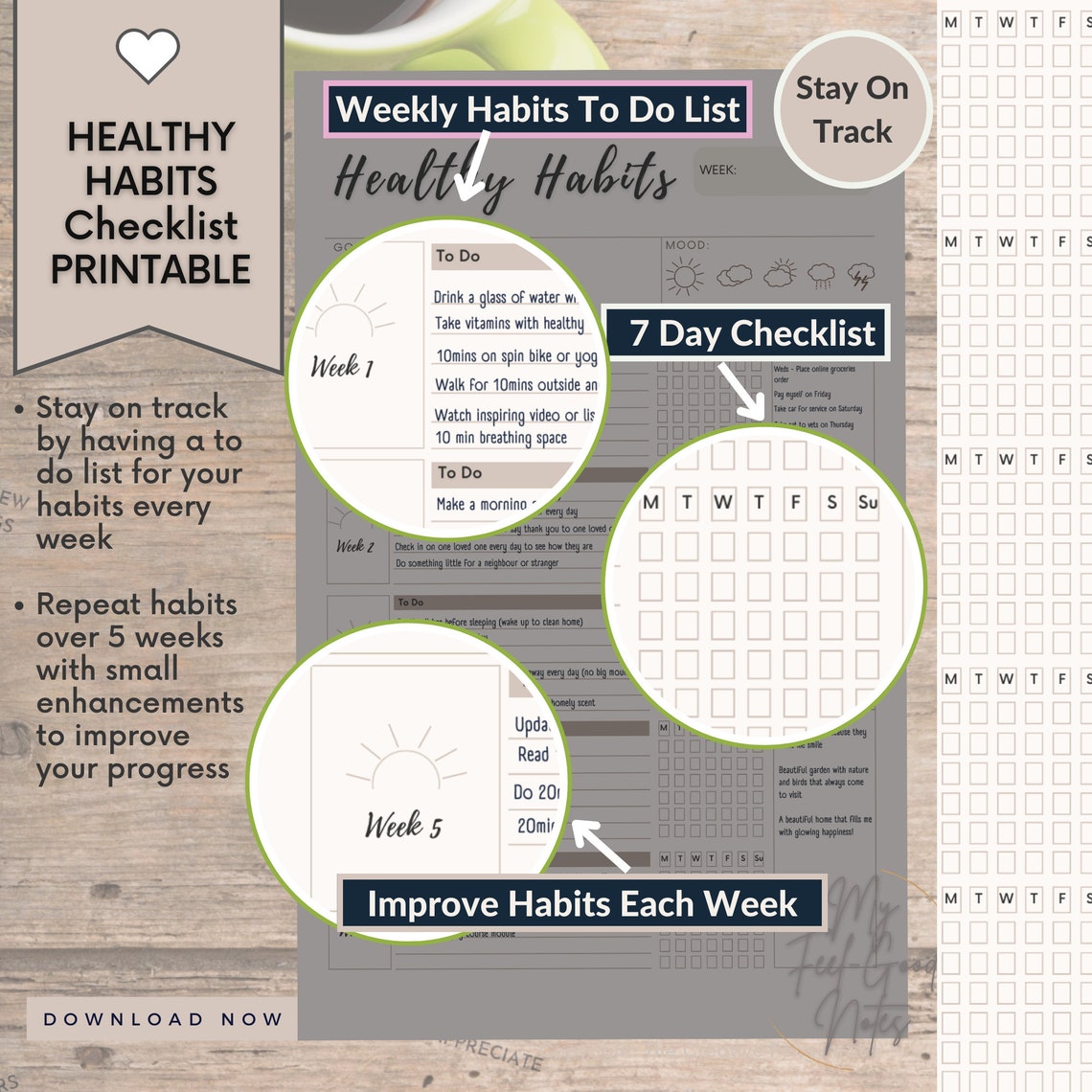 Daily Habit Tracker Printable Healthy Habits Checklist - Etsy