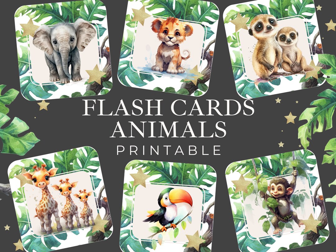Flash Cards Animal Forest, Matching Safari Activity, Nature Education ...