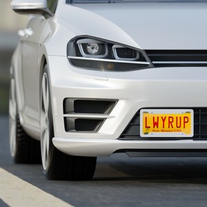 LWYRUP License Plate - Etsy