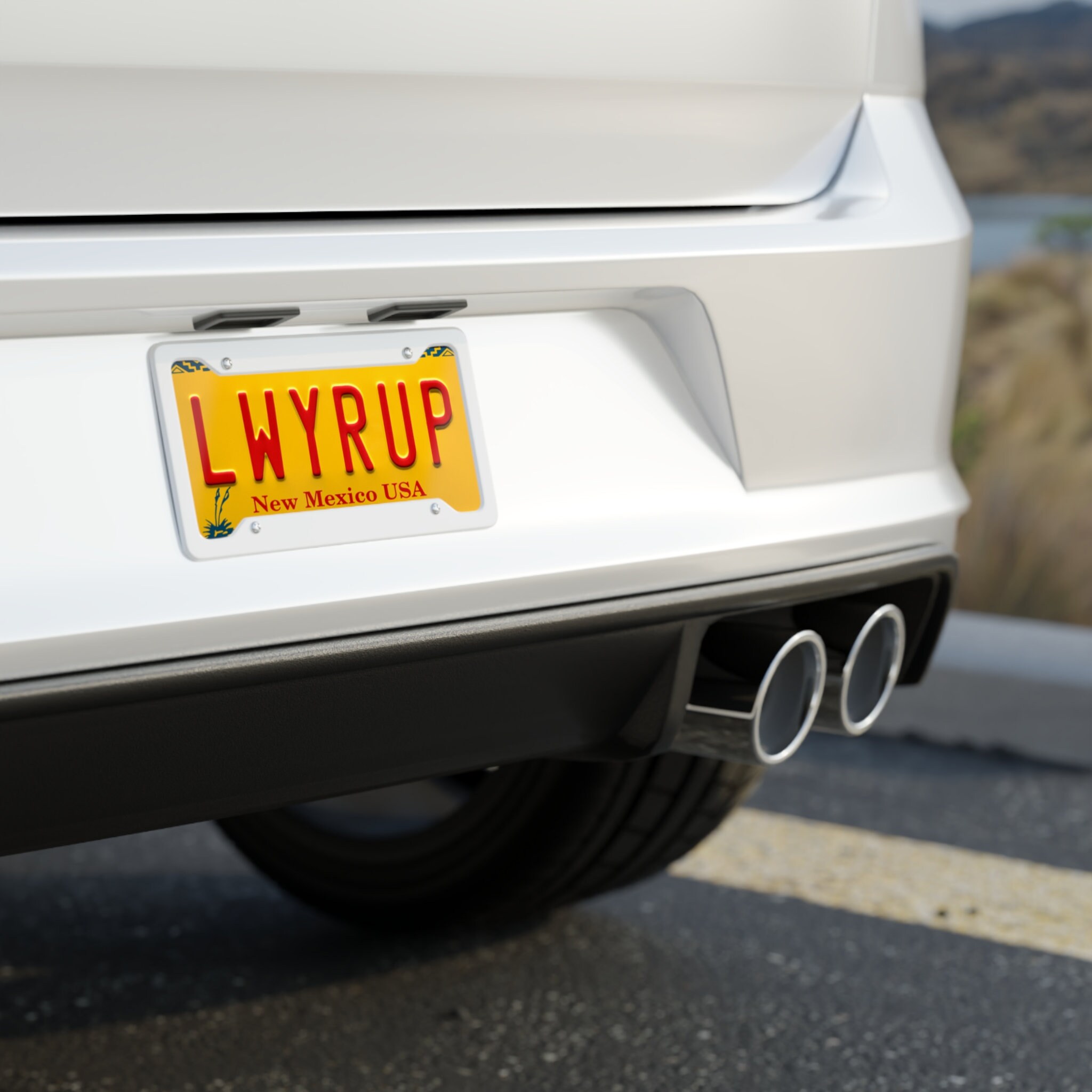 LWYRUP License Plate - Etsy