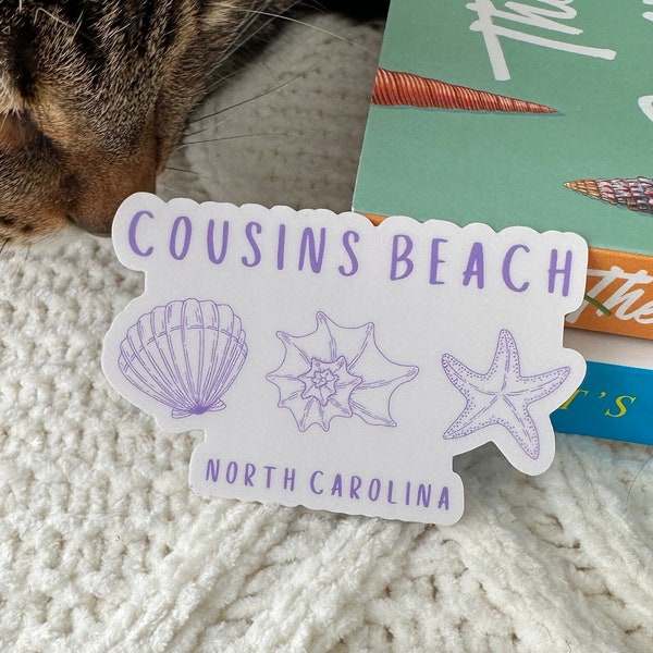 Summer I Turned Pretty Stickers - Etsy