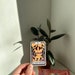 The Taboo Romance Sticker, Reader Tarot Card Sticker, Taboo Trope ...