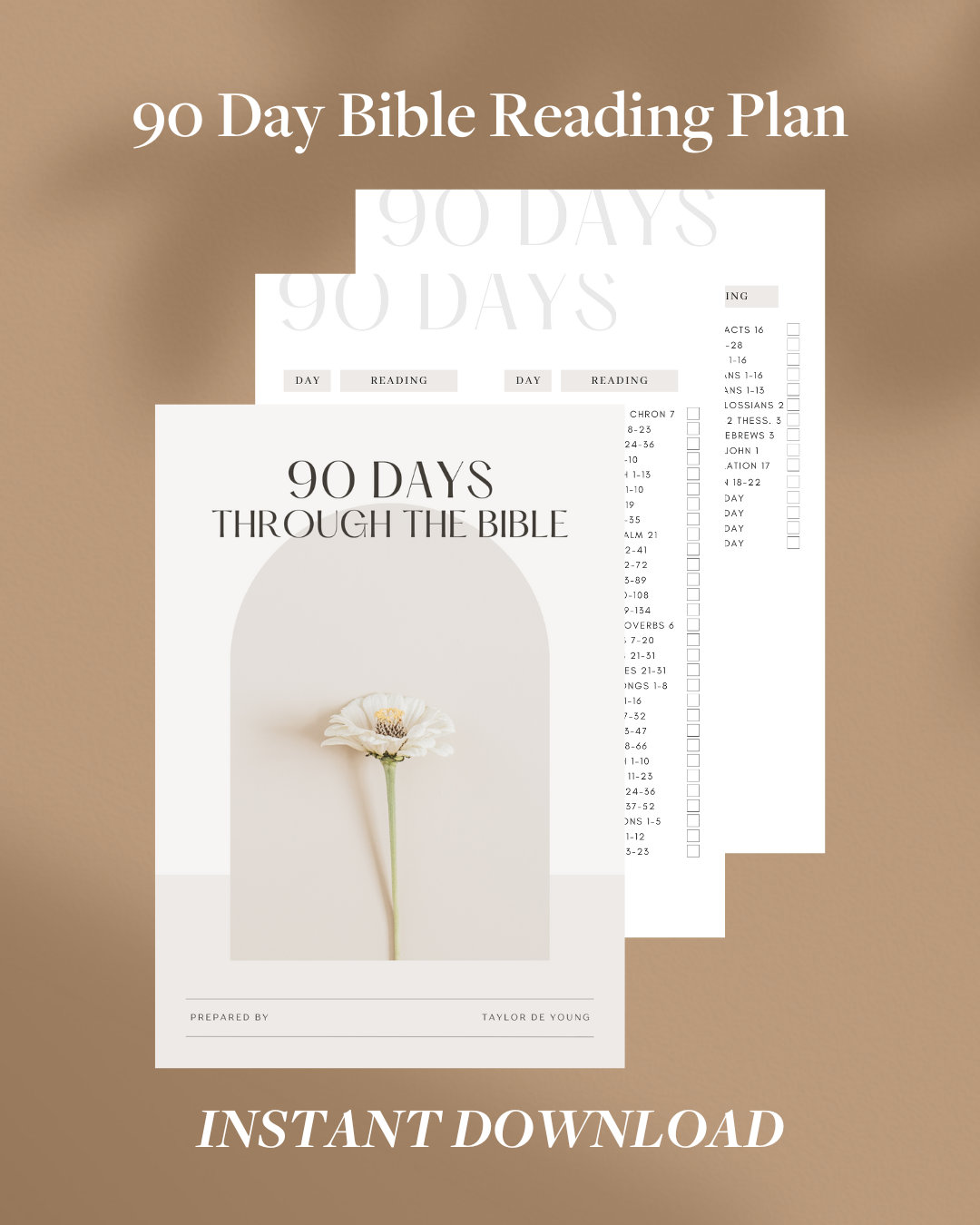 90 Day Bible Reading Plan - Etsy