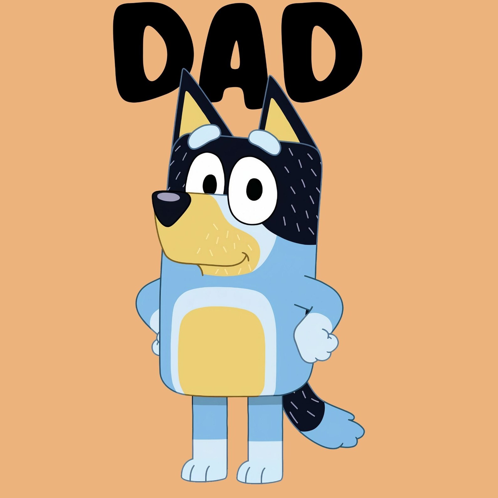 Bluey Wall Art Collection - Set of 4 - Colorful Kids Room Decor - Etsy