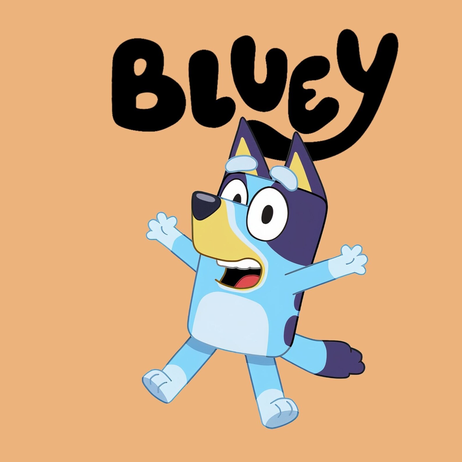 Bluey Wall Art Collection - Set of 4 - Colorful Kids Room Decor - Etsy