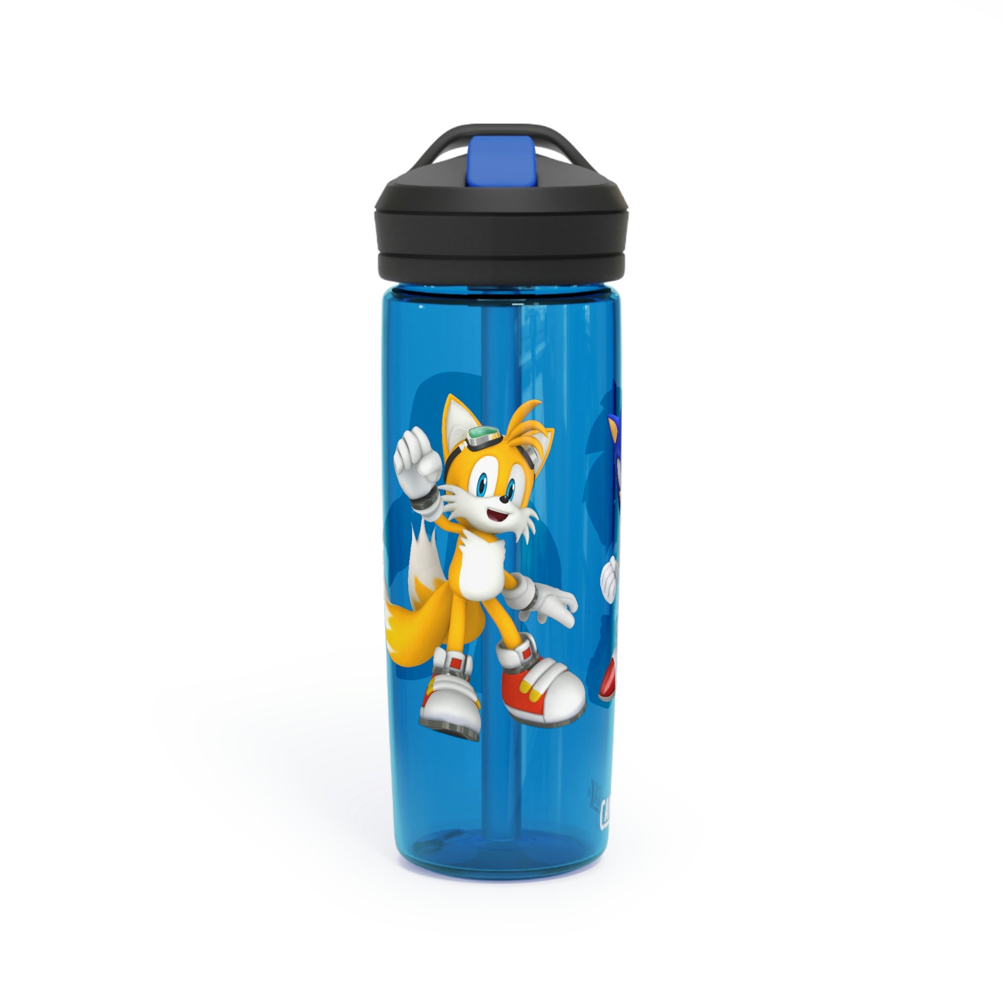Sonic and Friends Water Bottle 20oz25oz OOTW - Etsy