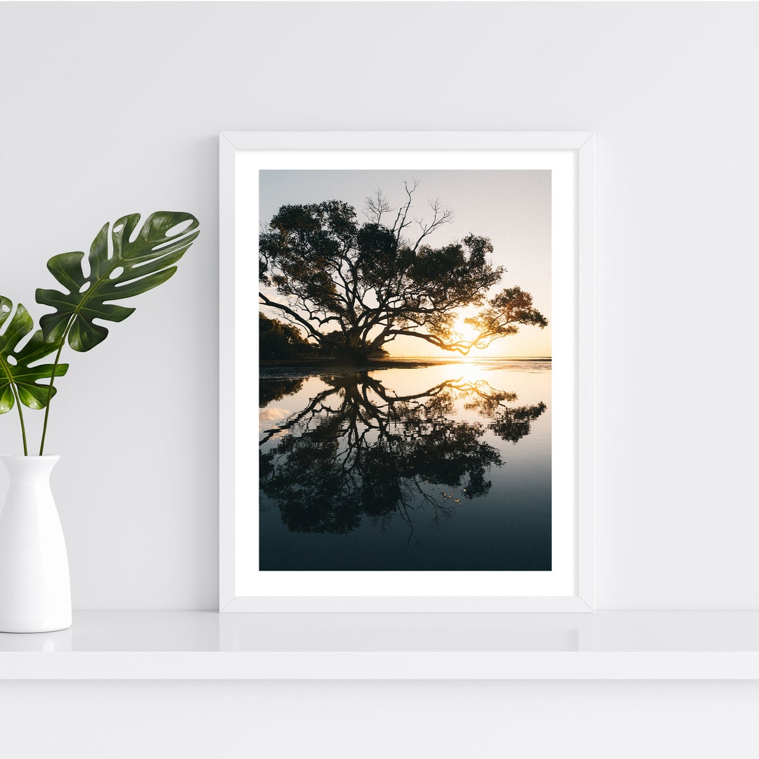 Nudgee Beach Reflections | Brisbane Photography | Downloadable Prints ...