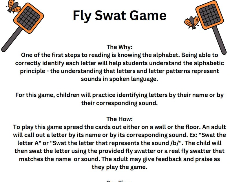 TLB Fly Swat Alphabet Game - Etsy