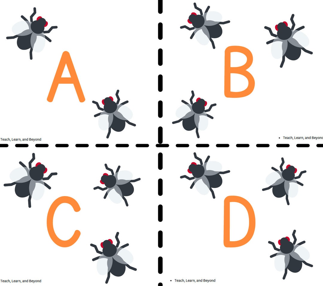 TLB Fly Swat Alphabet Game - Etsy