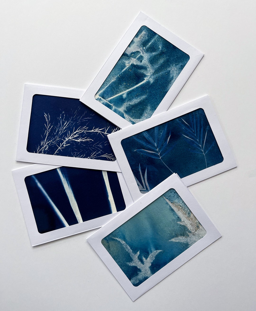 5 Original Cyanotypes Note Cards - Etsy