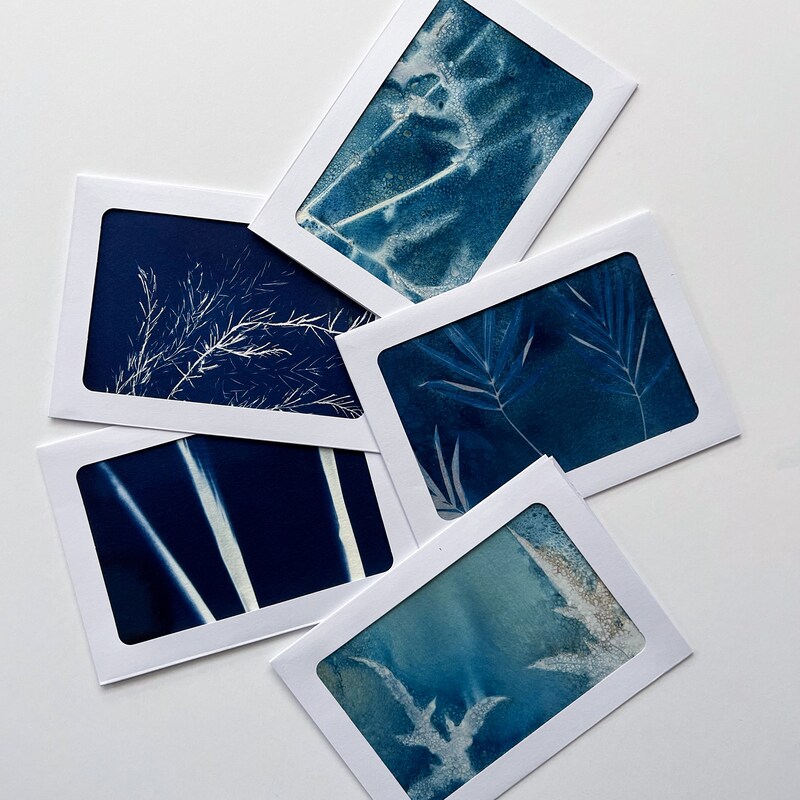 Cyanotype - Etsy UK