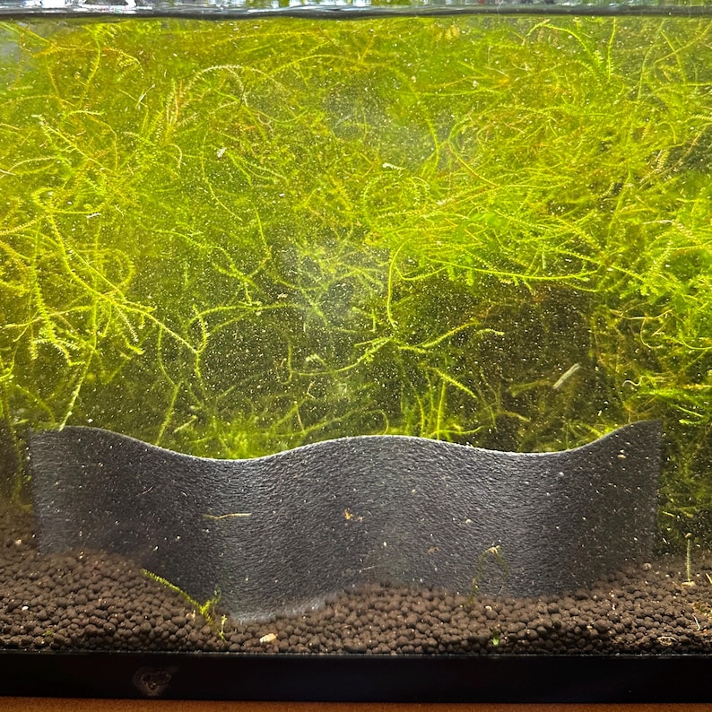 Wavy Aquarium Wall Substrate Separator for Fish Tank 3d Print - Etsy
