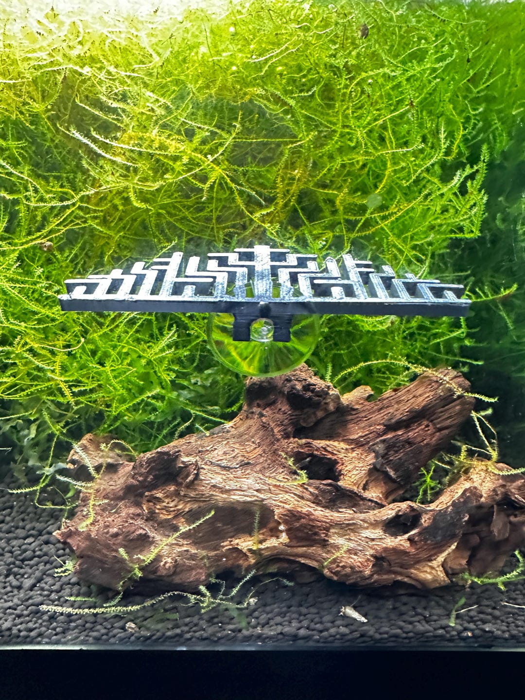 Moss Ledge Aquarium Java Moss Balcony for Shrimp Tank Fish Tank Decor ...