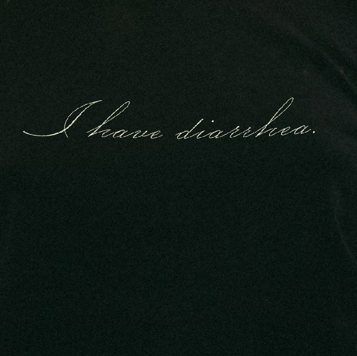 I Have Diarrhea Funny Gag Gift Poop Shirt Gift for Him Gift for Her ...