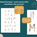 Wizard School Nursery Alphabet / Minimalist Subtle Design / Magic World ...