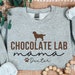 Black Labrador Sweatshirt, Labrador Sweater, Lab Mama Sweater, Black ...