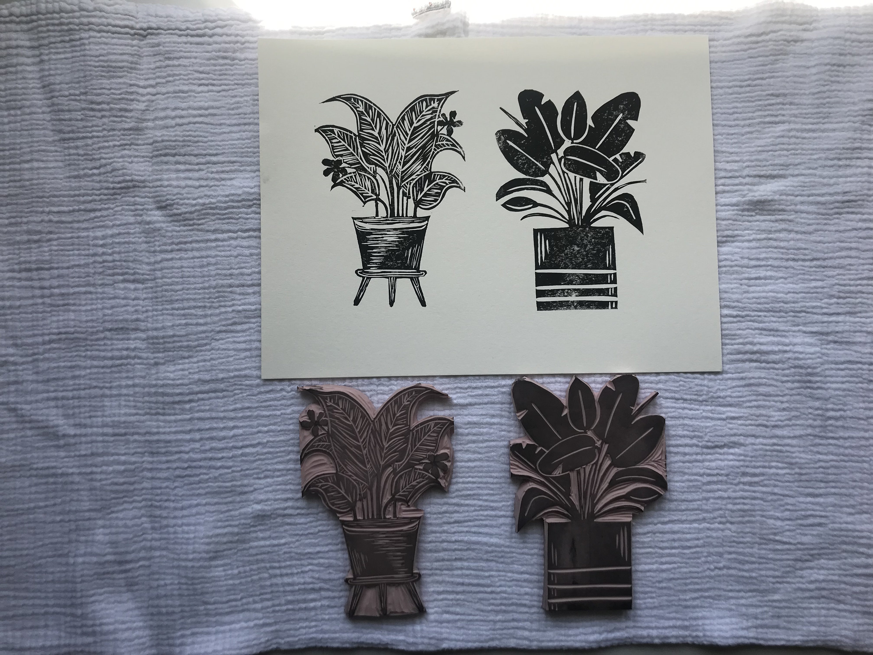 Handmade Linocut Prints | Chinese Evergreen & Bird Of Paradise | Print ...