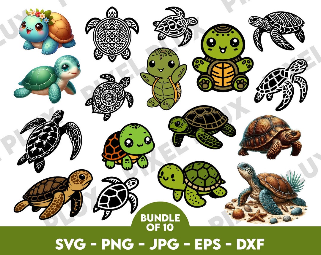 Sea Turtle Clipart Bundle, Ocean Animal Graphics (digital Download) - Etsy