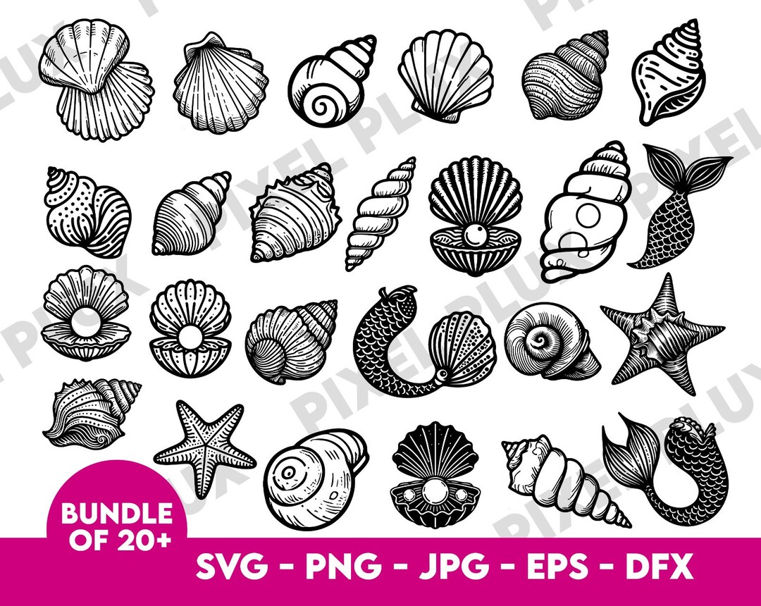 Seashell Svg Bundle Shells Clipart, Seashell Silhouette Svg File for ...