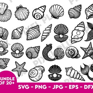 Seashell Svg Bundle Shells Clipart, Seashell Silhouette Svg File for ...