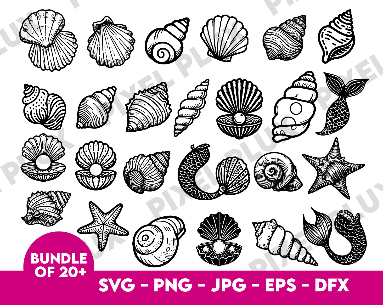 Seashell Svg Bundle Shells Clipart, Seashell Silhouette Svg File for ...