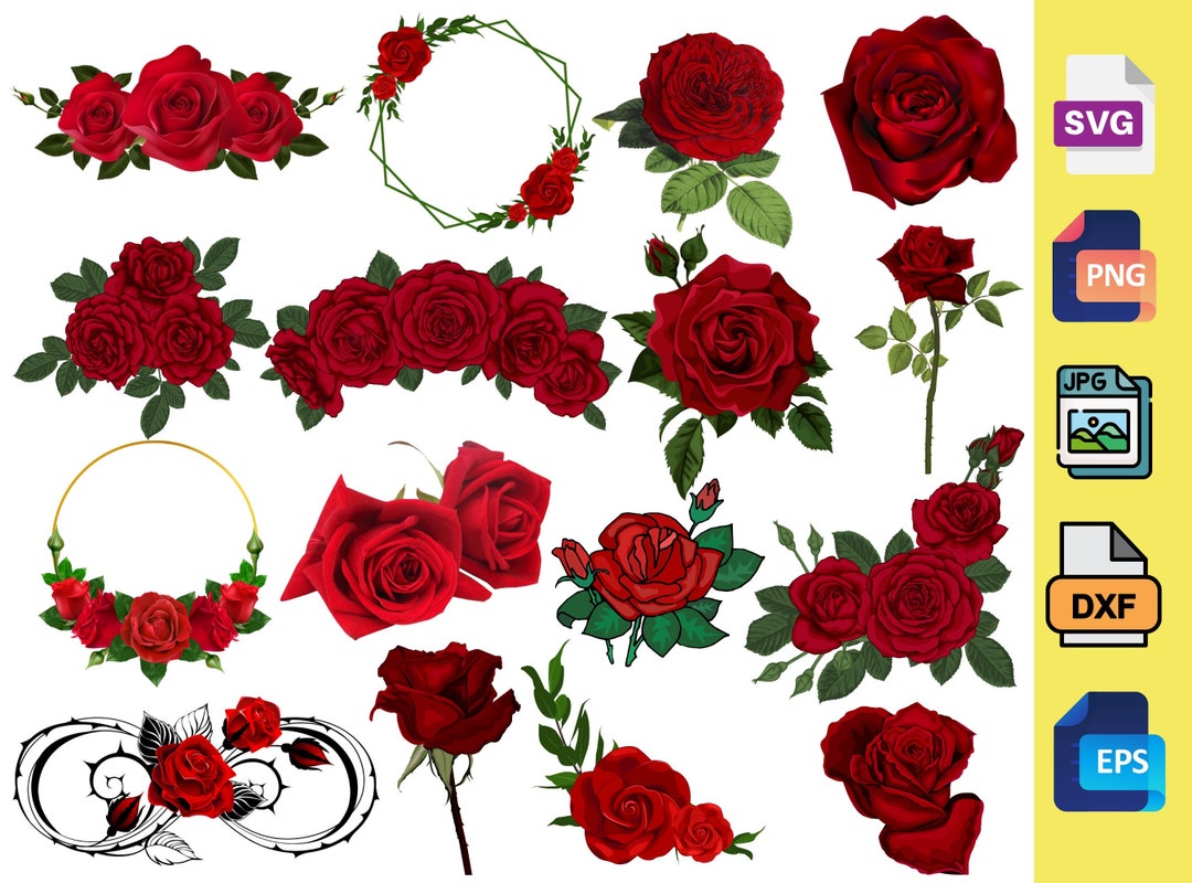 ROSE SVG Bundle/ Rose Clipart Bundle/ Rose Svg Cut Files for Cricut ...