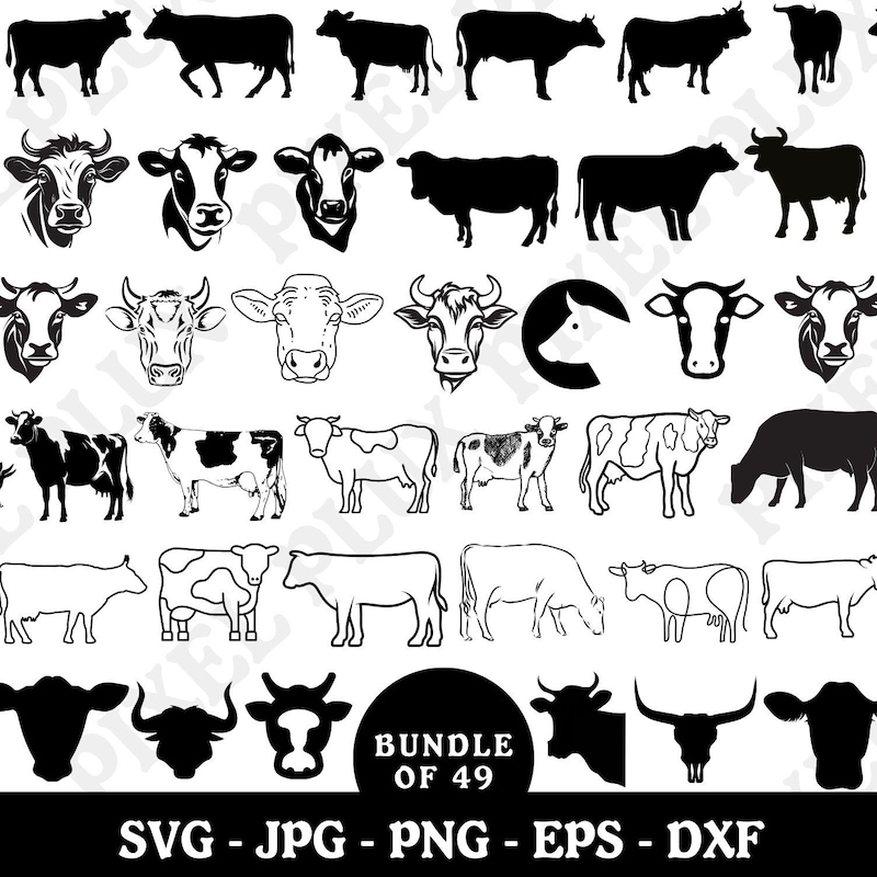 Cattle Scenes Svg - Etsy