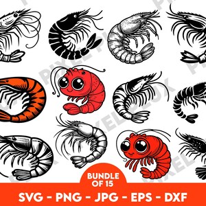 Shrimp Svg, Crawfish Svg, Crawfish Clipart, Prawn Svg, Shrimp Outline ...