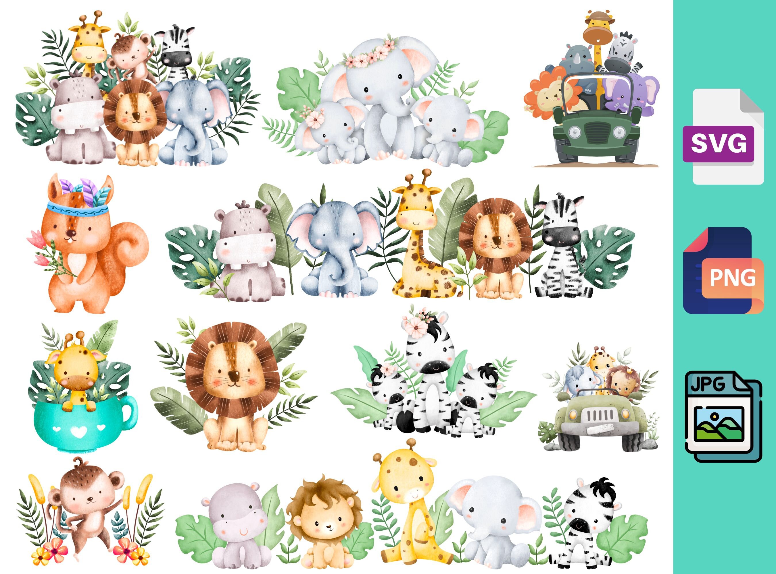 Baby Animal Clipart