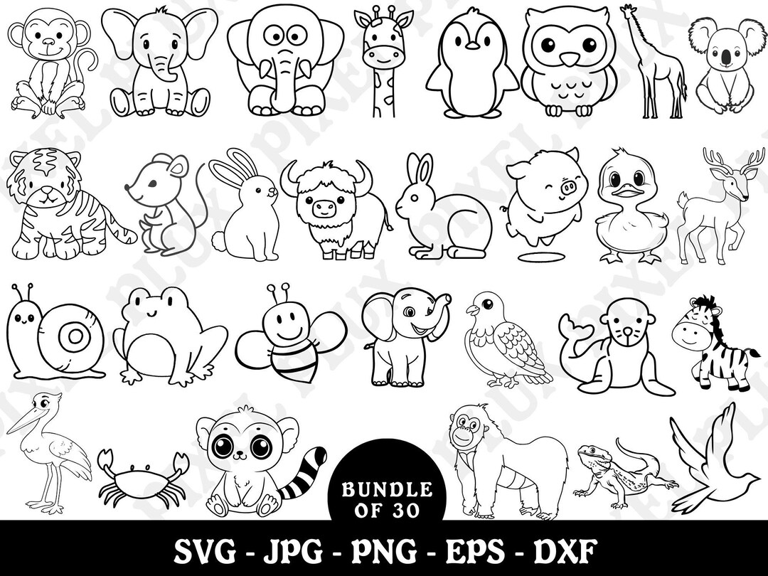 Safari Animals Outline SVG Cute African Jungle Animal Cut File Cricut ...