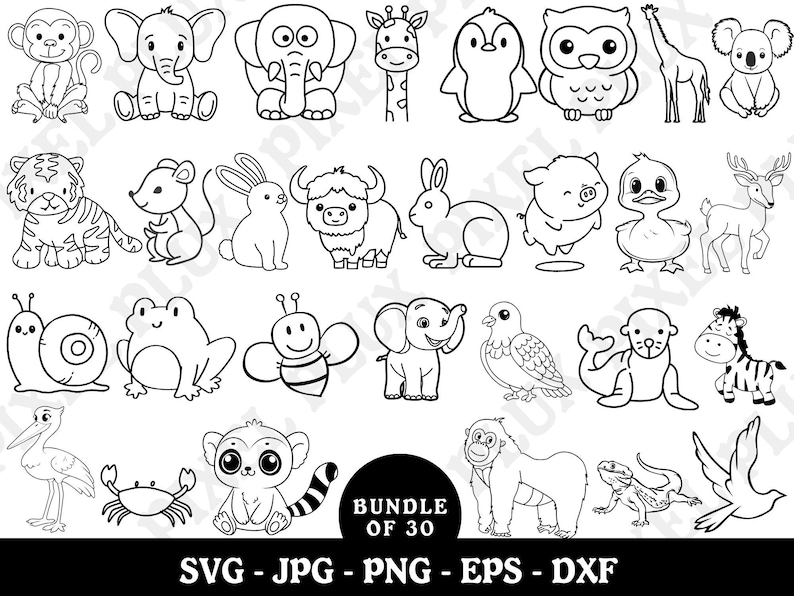 Safari Animals Outline SVG Cute African Jungle Animal Cut File Cricut ...