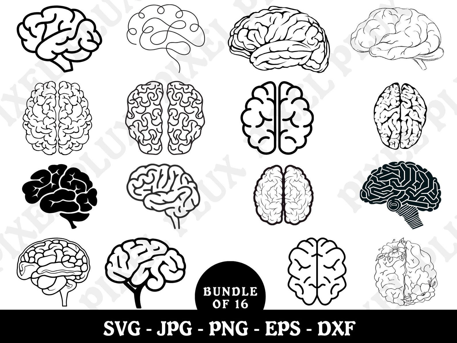 Brain SVG Bundle, Brain PNG Bundle, Brain Clipart, Brain SVG Cut Files ...