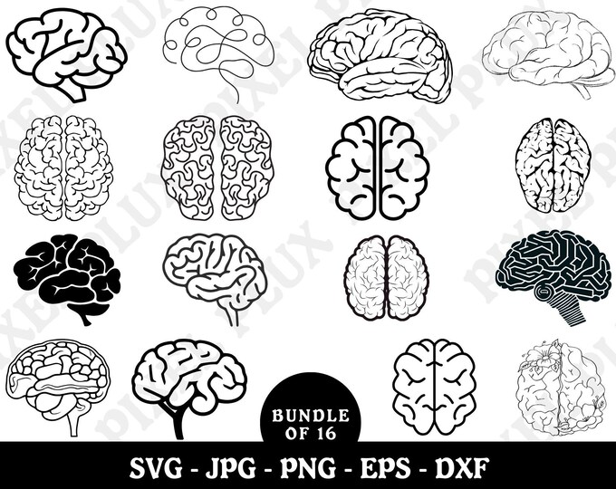 Human Brain Svg Bundle, Different Angles of Brain, Mind Svg Vector Cut ...