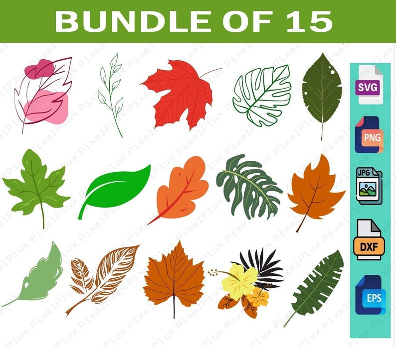 Fall Leaf SVG Autumn Leaves SVG Fall Leaves Svg Bundle - Etsy
