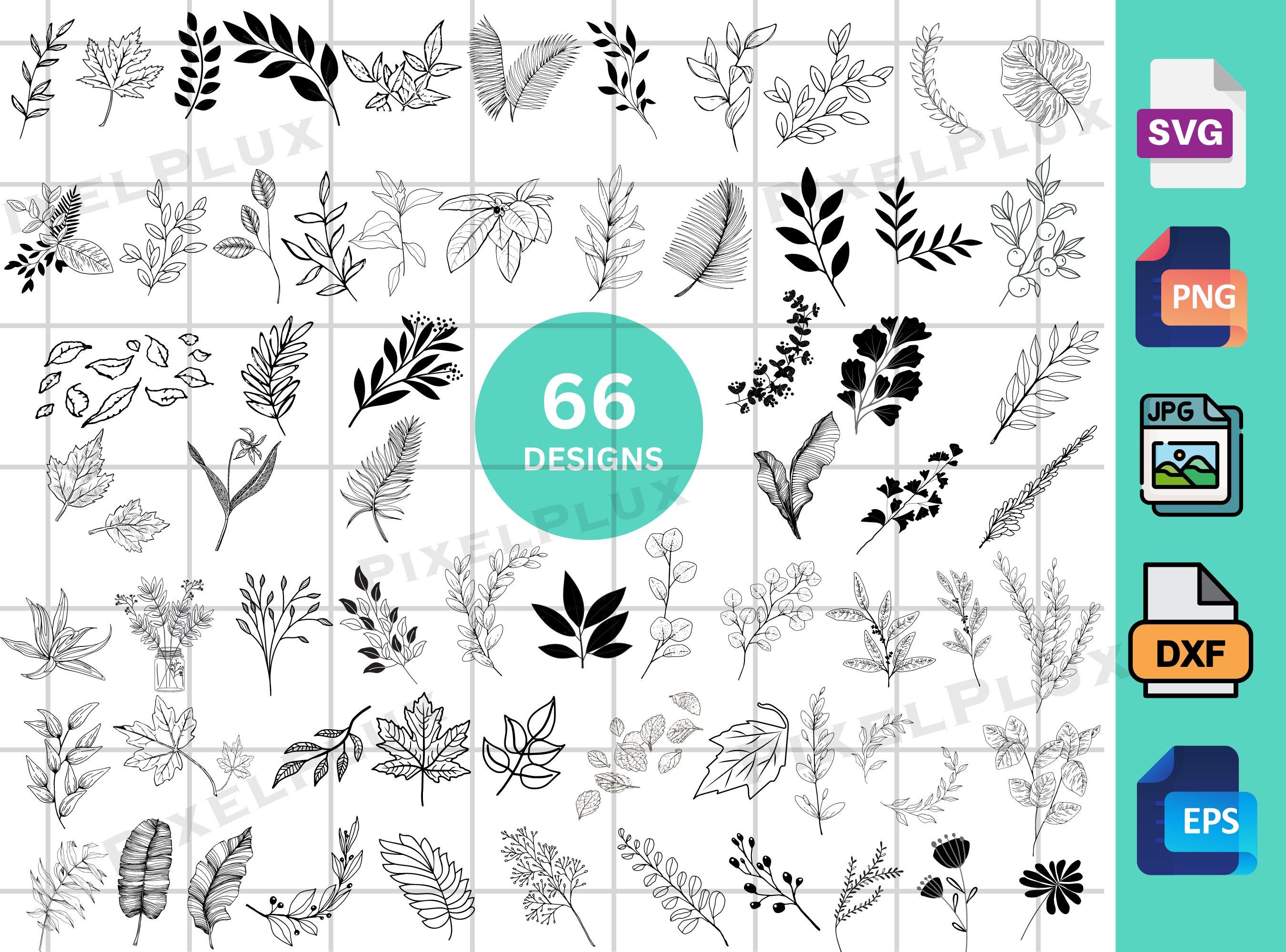 Hojas svg / 66 Hojas svg Bundle / Greenery svg / Leaf border - Etsy México
