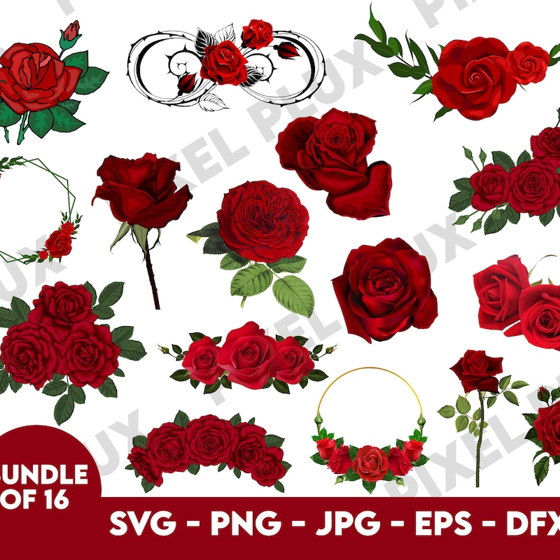 Rose - Etsy