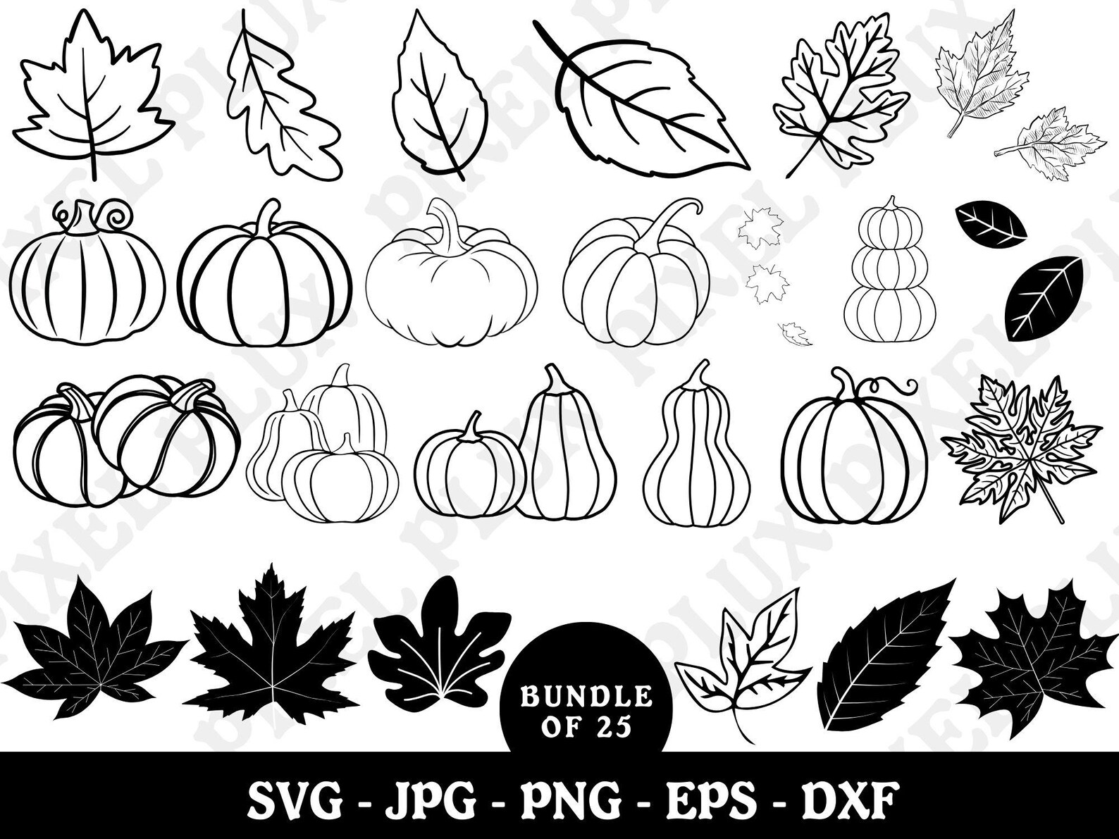 Pumpkin and Fall Leaves SVG Bundle, Fall Cliparts SVG Bundle, Maple ...