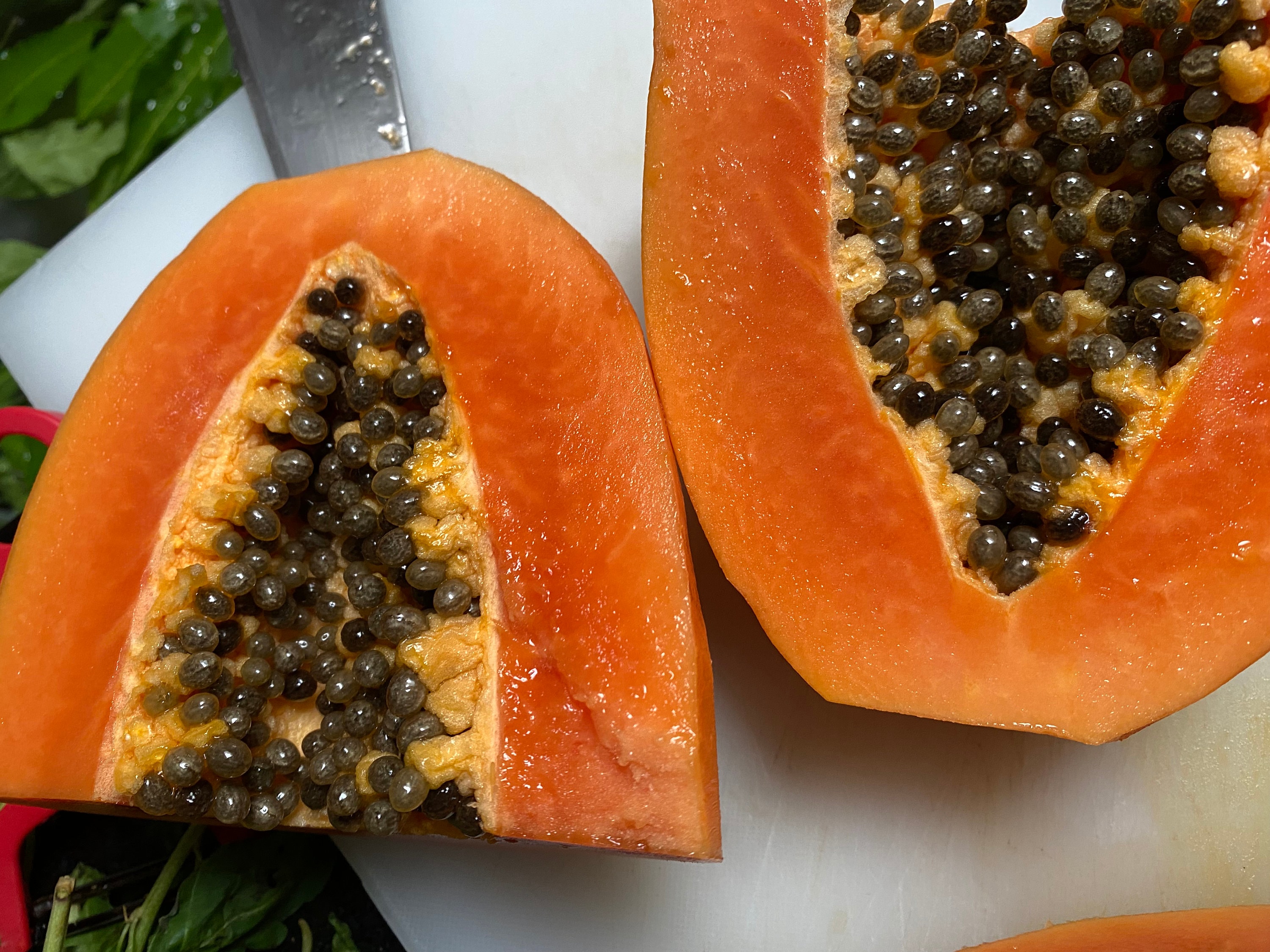 30 Papaya Maradol / Mexican Papaya / Red Maradol Seeds - Etsy