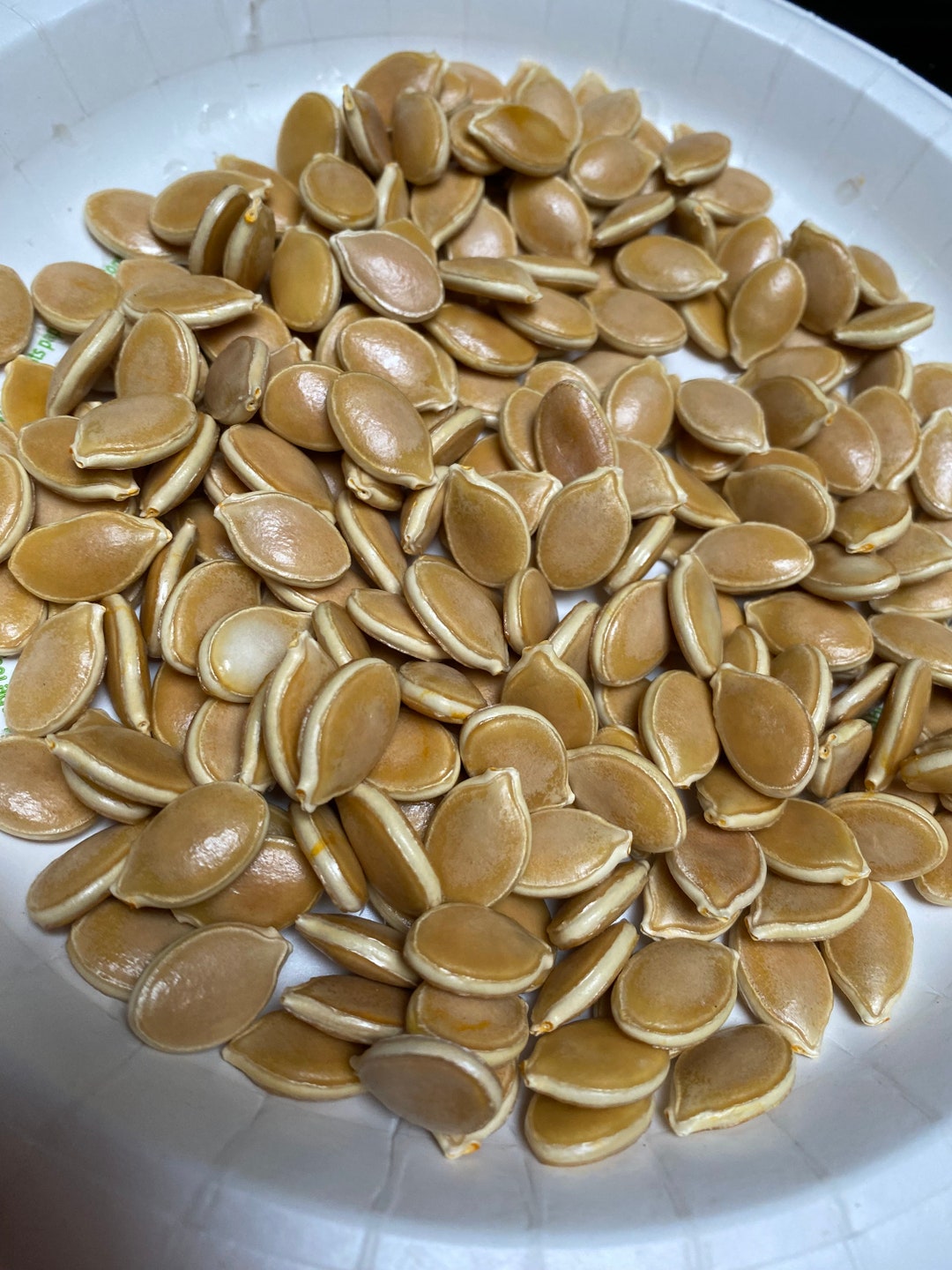 12 Kabocha Squash Seeds - Etsy