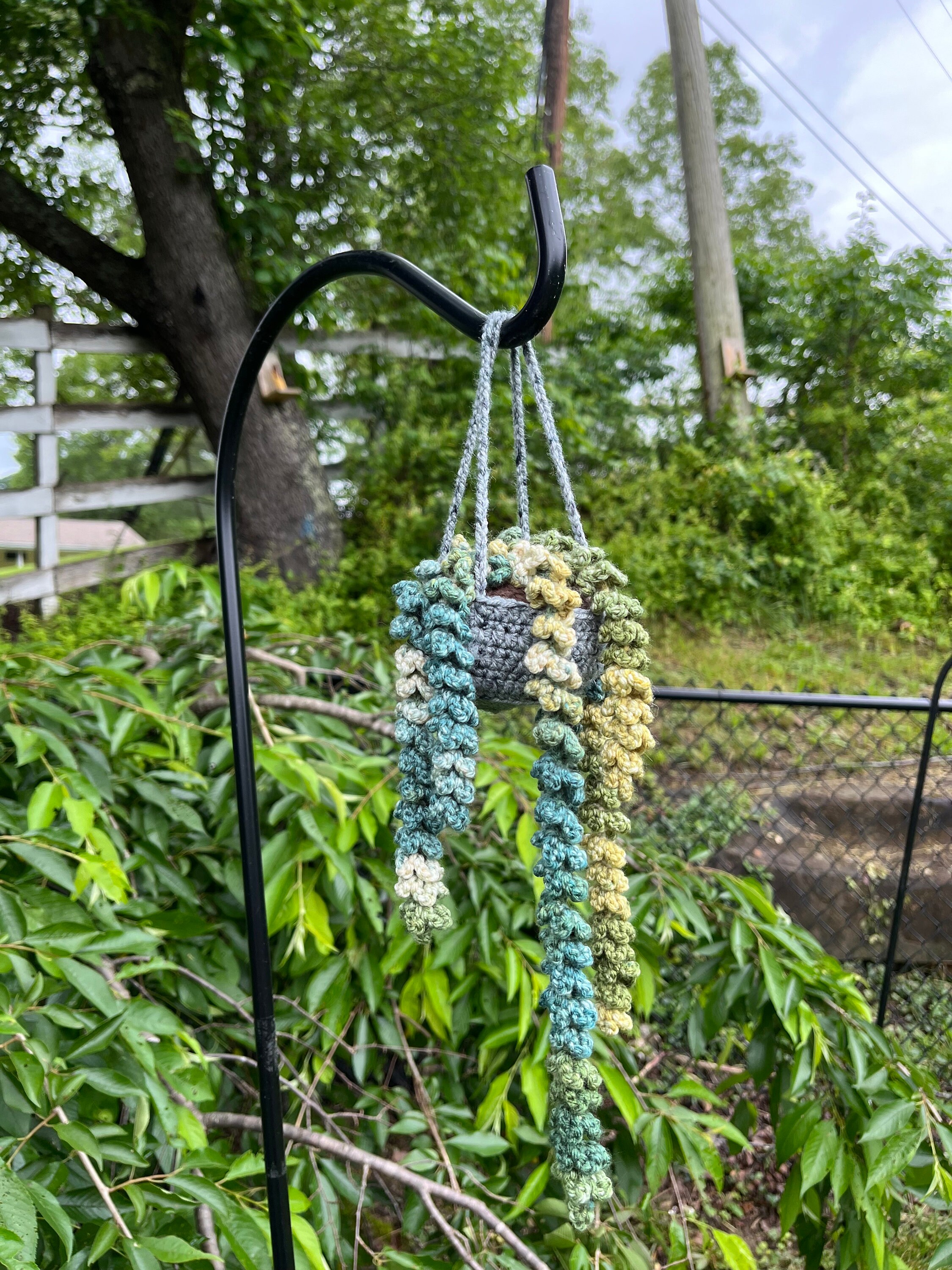 Ridged Curly Leaf Hanging Crochet Plant - Etsy