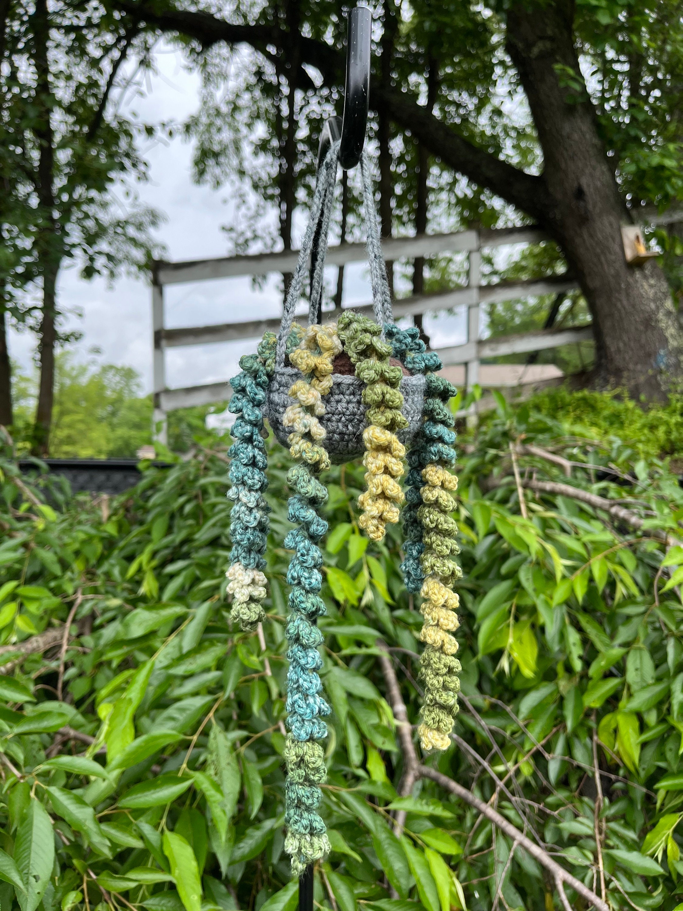 Ridged Curly Leaf Hanging Crochet Plant - Etsy