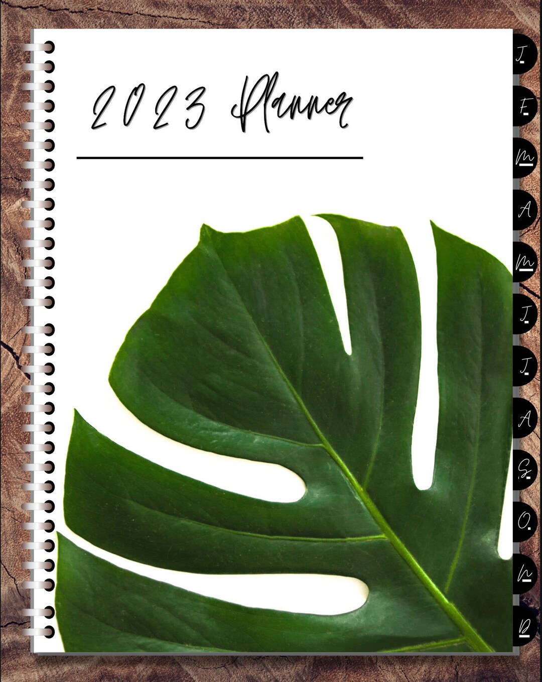 Monstera 2023 Planner - Etsy