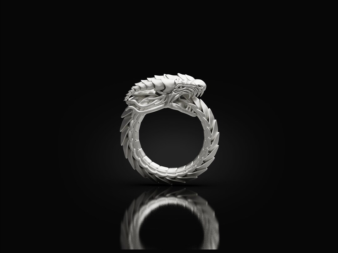 Ouroboros Dragon Signet Ring Mens Dragon Ring Silver Dragon Rings for ...