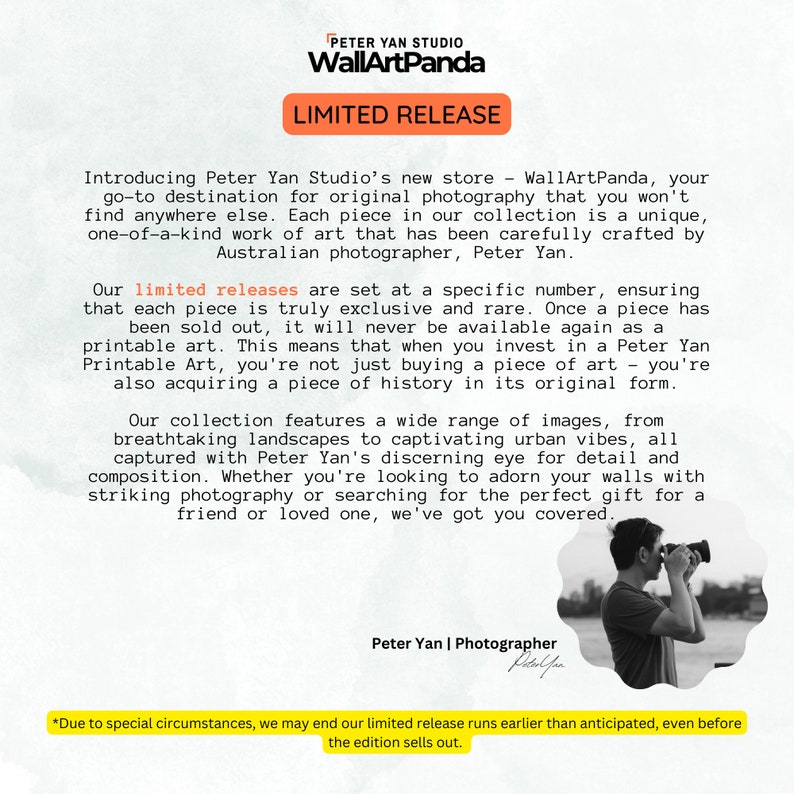 Sydney Harbour Bridge Printable Art Print Minimal Print - Etsy