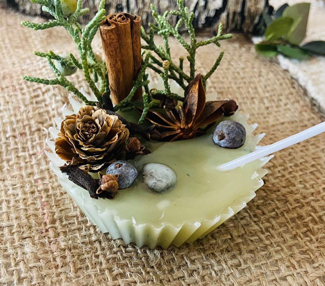 4 Pack Fire Starters, All Natural Homemade Firestarters, Forest Scented ...